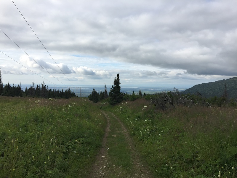 Moose Ridge Loop Mountain Biking Trail - Anchorage