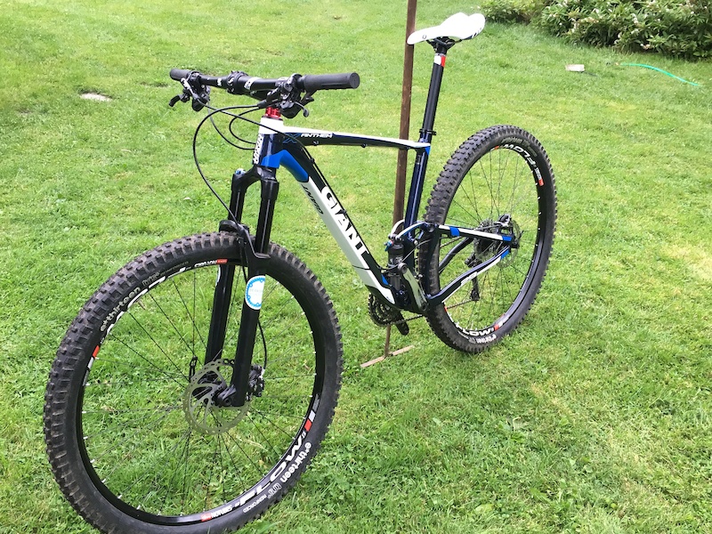2015 Custom Giant Anthem X 29er For Sale