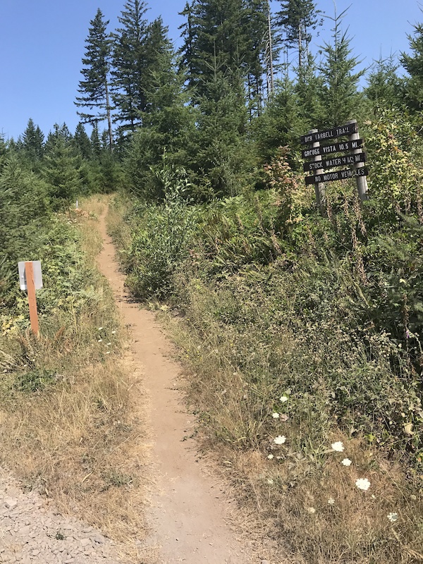 Tarbell Multi Trail - Battle Ground, Washington