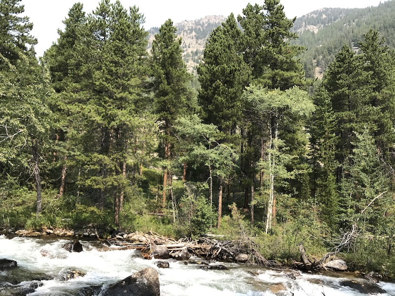 Silver Run Loop Mountain Biking Trail - Red Lodge, MT