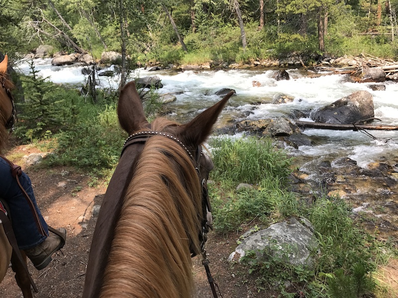 Silver Run Loop Mountain Biking Trail - Red Lodge, MT