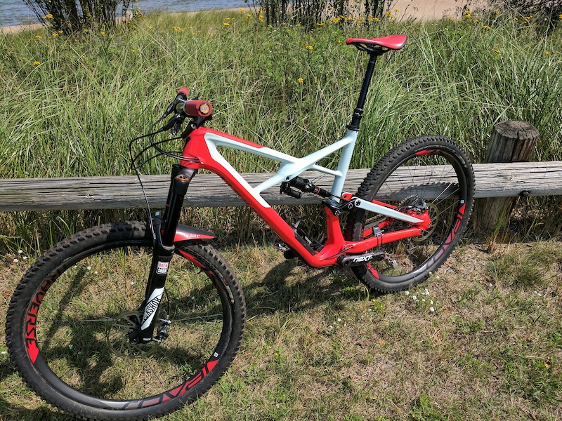 2017 Custom Specialized Enduro Pro Carbon 29 For Sale