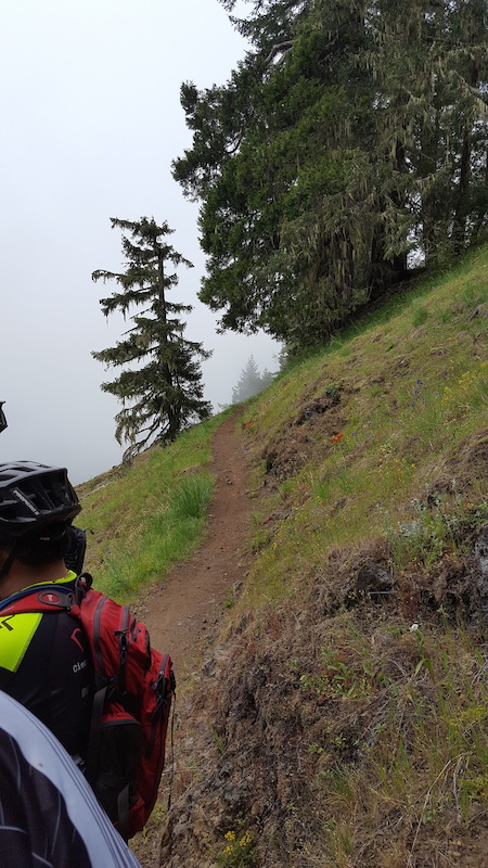 Tire Mountain Multi Trail - Oakridge, Oregon