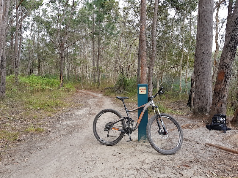 Ferny Forest Loop Mountain Bike Trail - Glenview