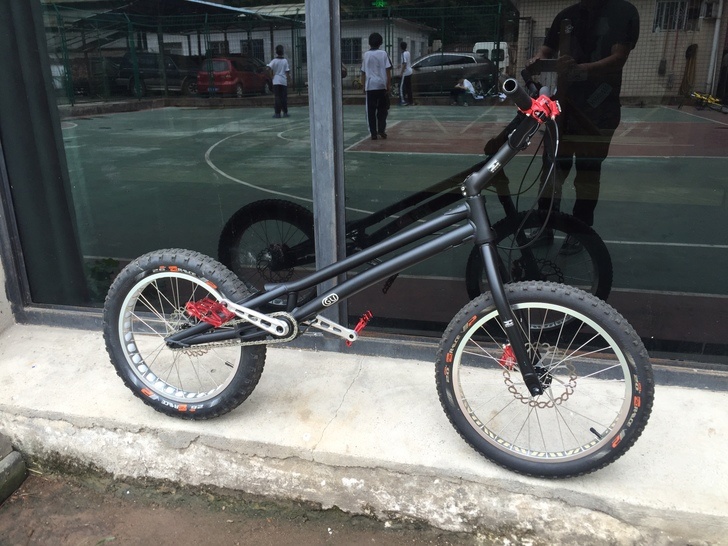 ECHO GU 20'' with Hope Trial Zone Brakes For Sale
