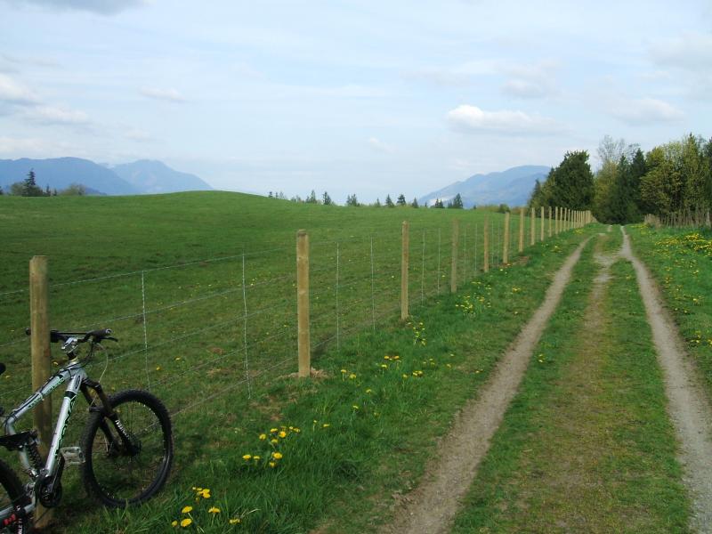 Trans Canada Trail Mountain Biking Trail - Maple Ridge