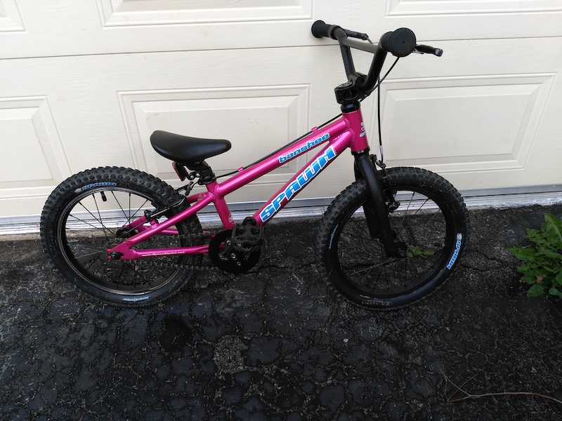 2016 Spawn Banshee For Sale