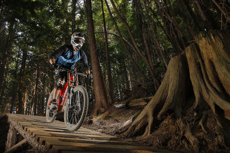 Devils Club Mountain Bike Trail - Whistler, BC