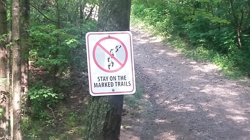 Albion Falls to Kings Forest Climb Multi Trail - Hamilton