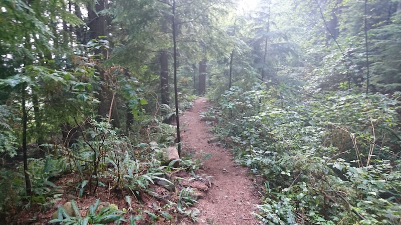 Dempsey Connector Multi Trail - North Vancouver, BC