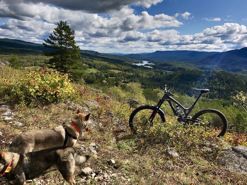 Razorback Mountain Bike Trail - Burns Lake, BC