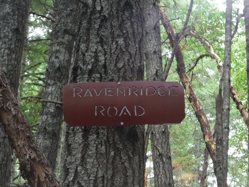 Raven Ridge Road Multi Trail - Victoria, British Columbia