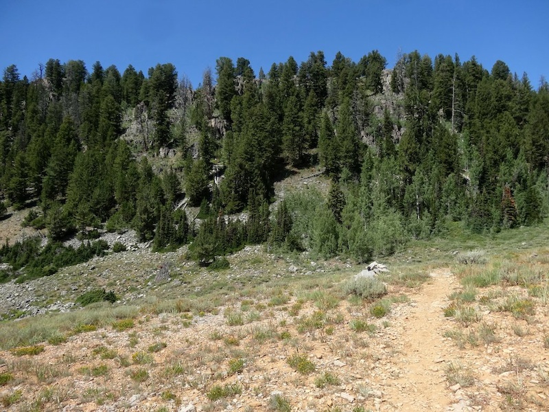 Stump Hollow - Peter Sinks JCT Mountain Bike Trail - Logan