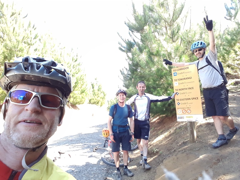 Grinder Mountain Biking Trail - Rotorua | Trailforks