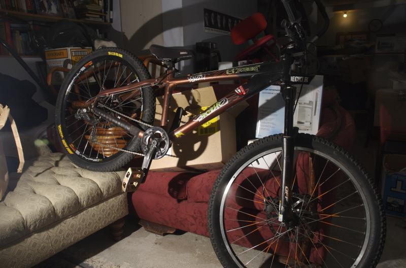 2005 Brodie Bruzza For Sale