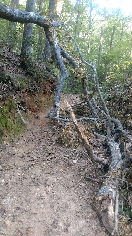 Brushy Creek Trail Multi Trail - Brevard, North Carolina