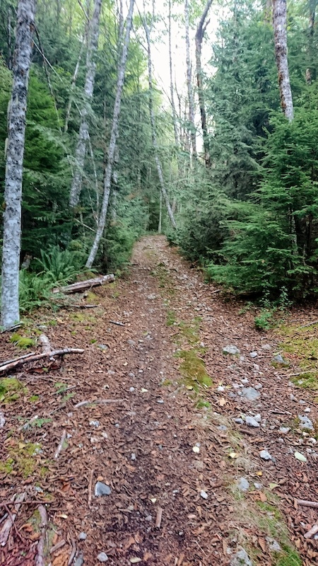 Old Doubletrack Multi Trail - Squamish, BC | Trailforks