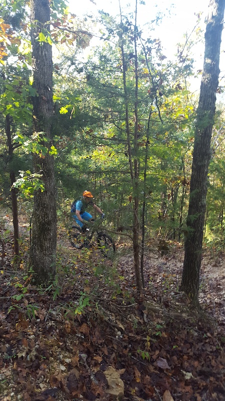 Busiek State Forest Mountain Biking Trail - Highlandville
