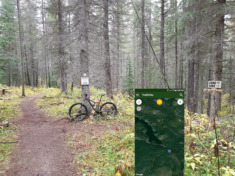 Razorback Mountain Biking Trail - Burns Lake, BC