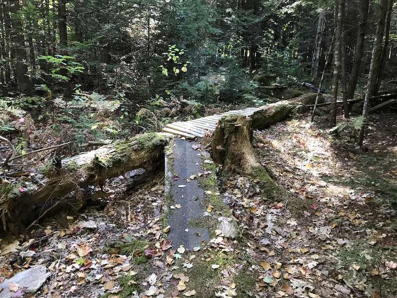 Pine Log Mountain Biking Trail - Fredericton, NB