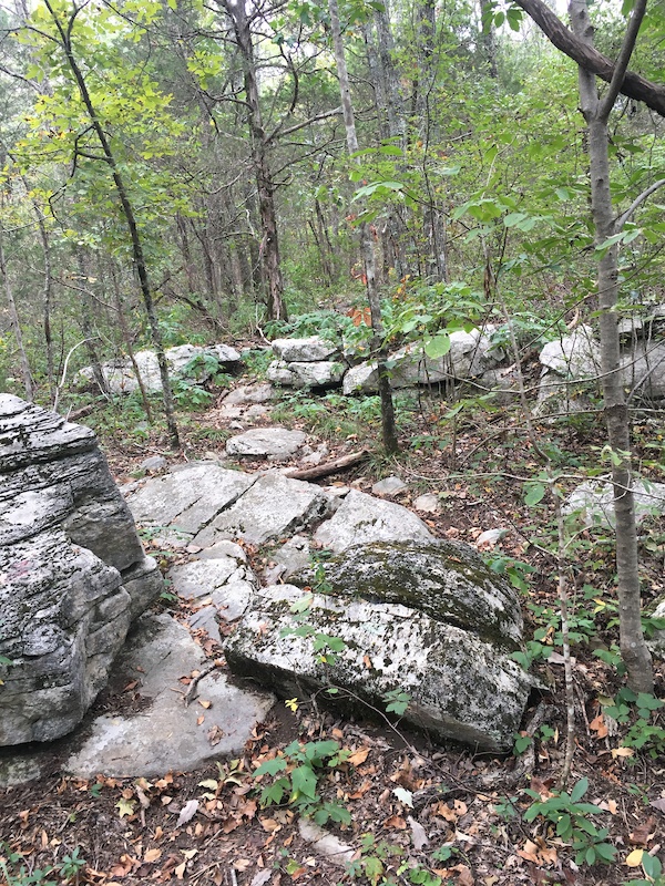 Red Lizard Trail Multi Trail - Huntsville, Alabama