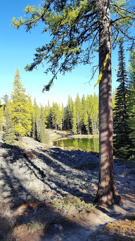 Clara & Marion Lake Trail Mountain Biking Trail - Wenatchee
