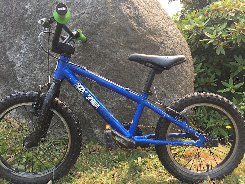 2015 16" Spawn Banshee For Sale