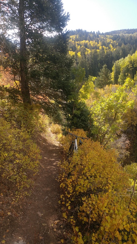 Middle Canyon Trail Mountain Biking Trail - Tooele, UT