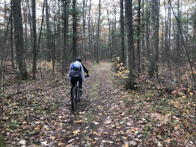 Higgans Lake Big loop Mountain Biking Trail - Grayling, MI