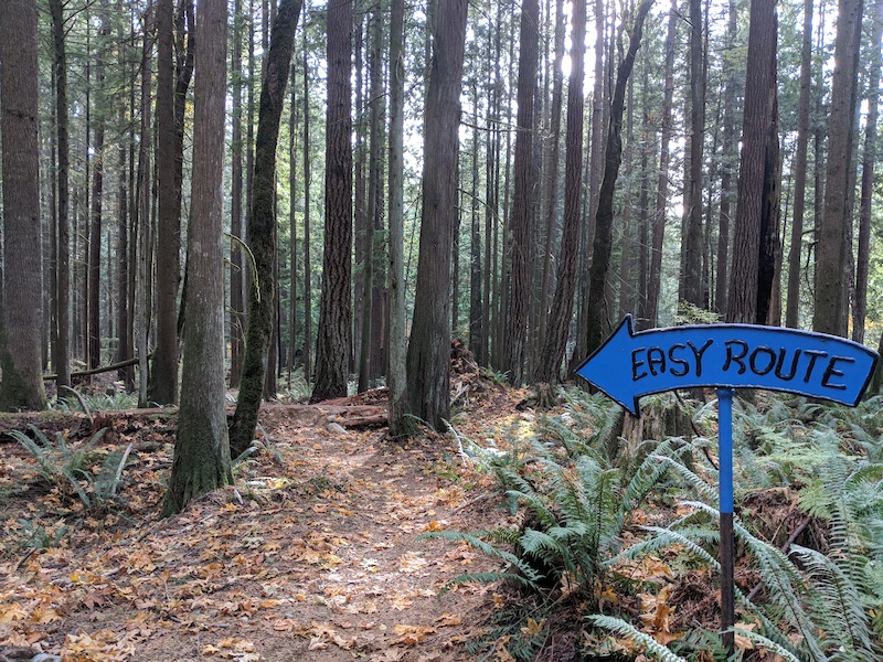 Thornstar Mountain Biking Trail - Maple Ridge, BC