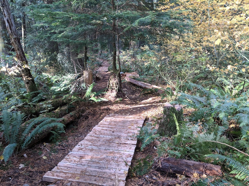 Easy Going Mountain Biking Trail - Maple Ridge, BC