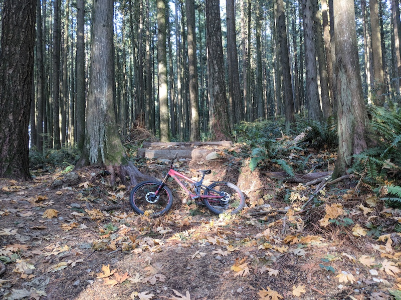 Rip n' Dip Mountain Biking Trail - Maple Ridge, BC
