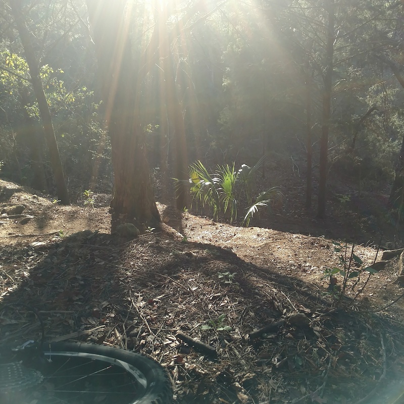 John Brown Multi Trail - Santos, Ocala, Florida