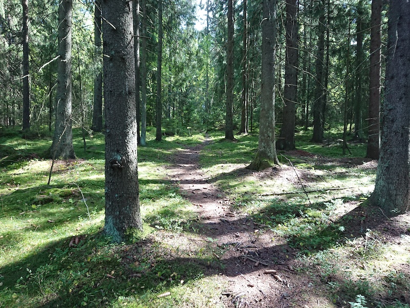 Gryta Mountain Biking Trail - Åsermarka, Askim