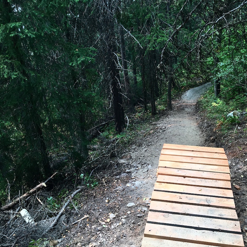Coaster Mountain Biking Trail - Valemount, BC
