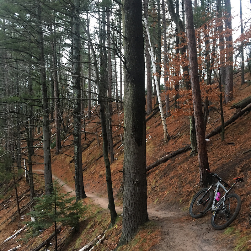Blue Heron Multi Trail - Marquette, Michigan