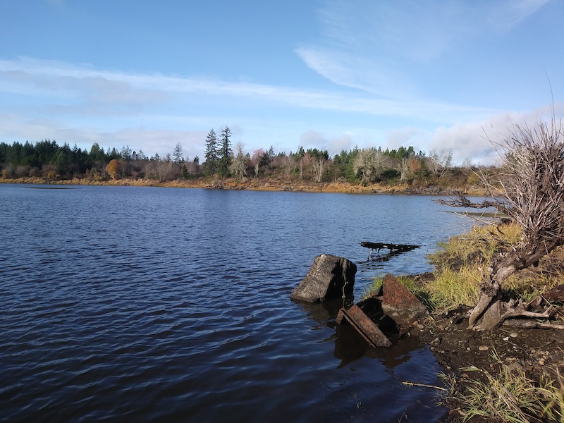 Goose lake trail???? Mountain Biking Trail - Shelton