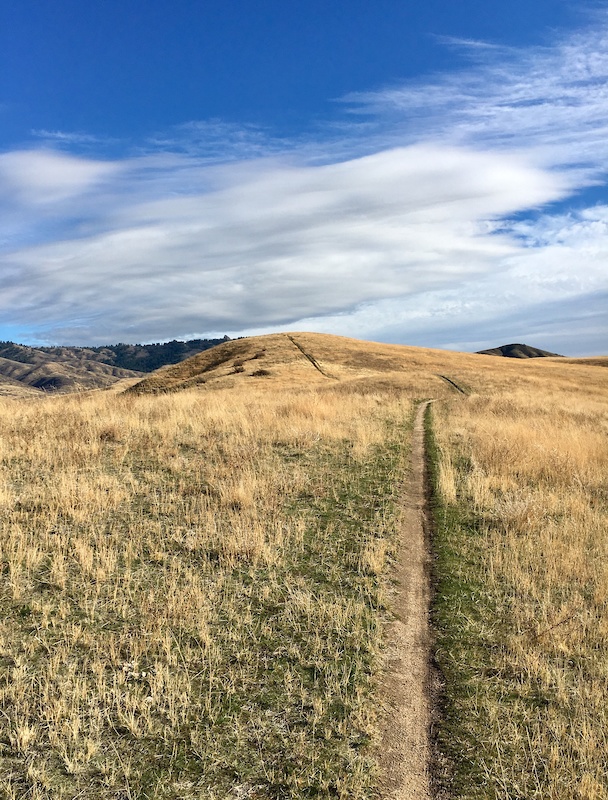 Spring Valley Creek Multi Trail - Eagle, Idaho