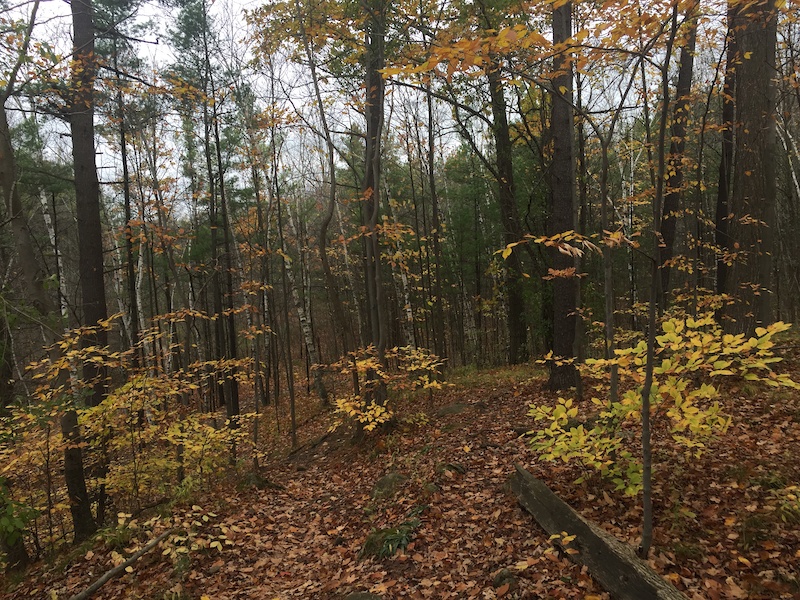 Sick Sisters Mountain Biking Trail - Puslinch Township