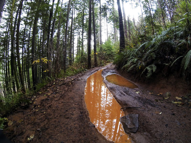 Rock Candy Multi Trail - Olympia, Washington