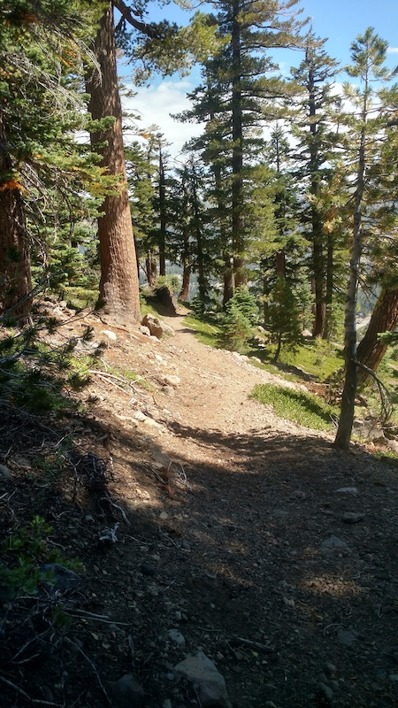 Sentinel Trail Multi Trail - Kirkwood, California