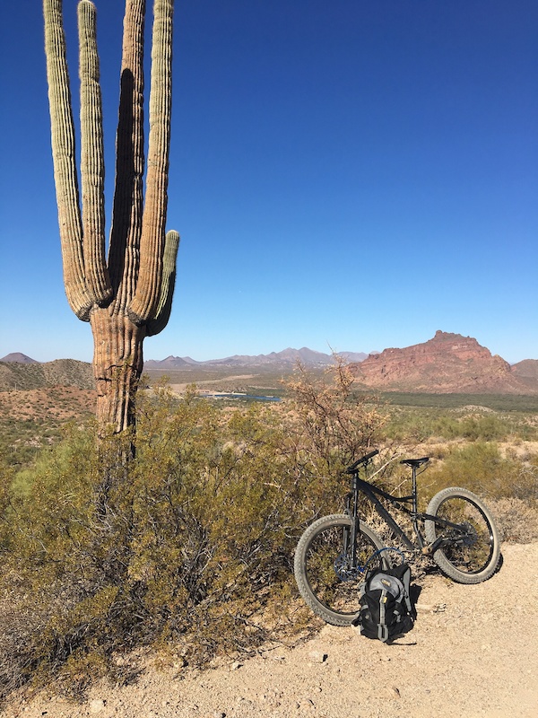 Hawes Acc Hiking Trail - Hawes, Mesa, Arizona