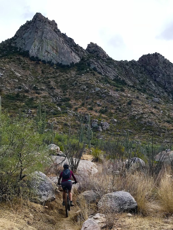 Sutherland (Lower) Multi Trail - Tucson, Arizona