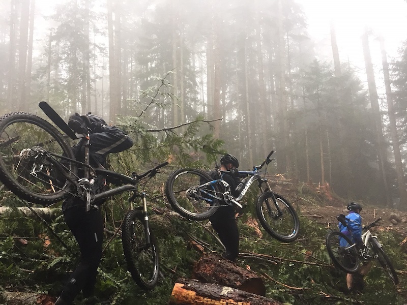 Fireball Mountain Biking Trail - Nanaimo, BC