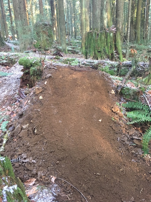 Sessions Mountain Biking Trail - Maple Ridge, BC
