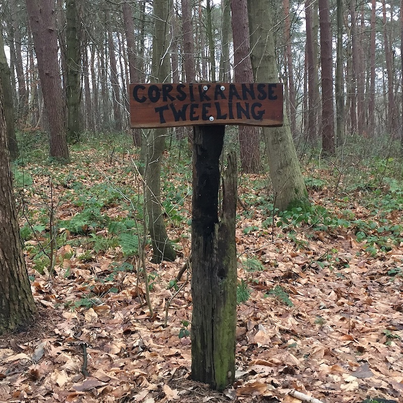 Corsikaanse Tweeling Mountain Biking Trail