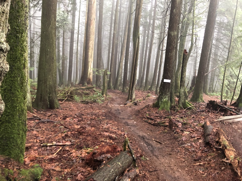O.S.R. Mountain Biking Trail - Maple Ridge, BC