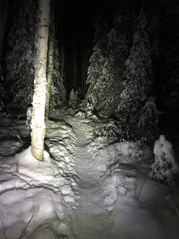 Backside to Blue Spruce Mountain Biking Route | Trailforks