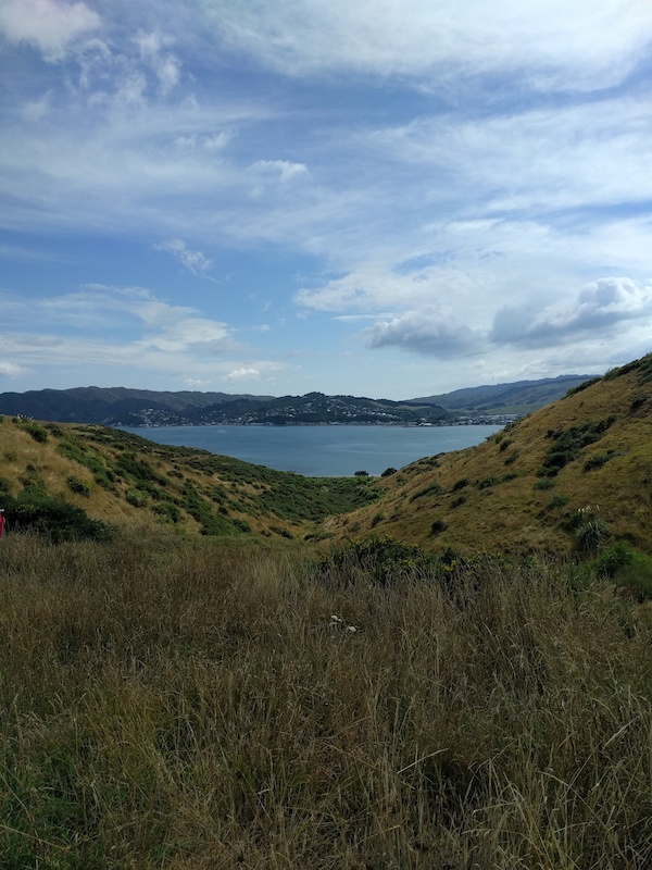 Whitireia Inland Mountain Biking Trail - Porirua