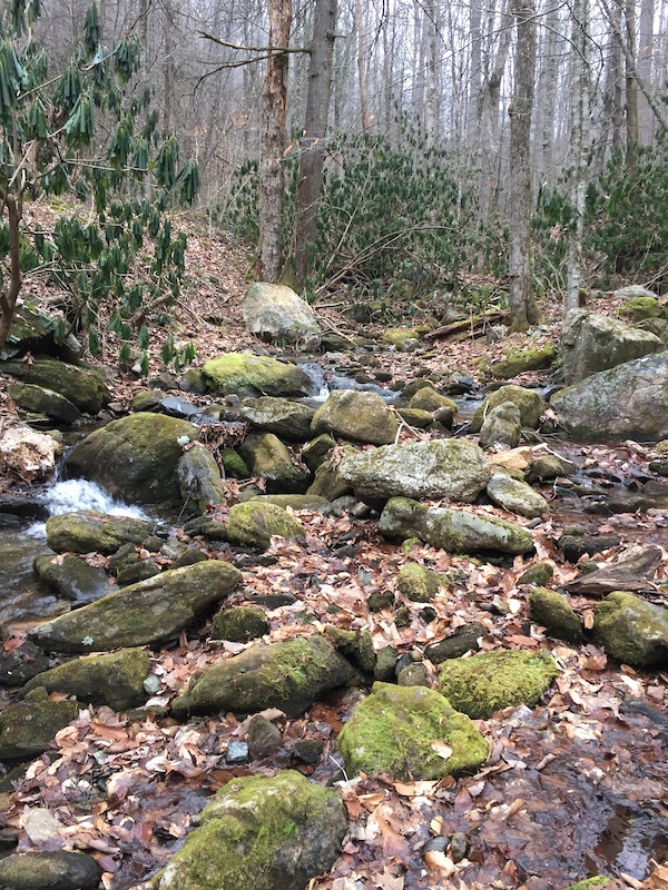 Cove Creek and Daniels Ridge Mountain Biking Route | Trailforks